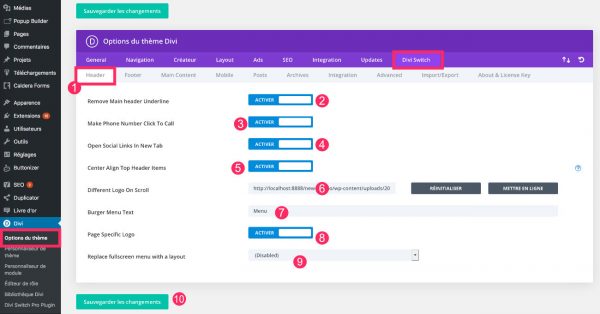 Divi Switch : un plugin multifonction qui vous aide à customiser Divi