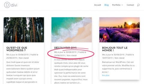 Ma bibliothèque des snippets pour Divi à copier-coller