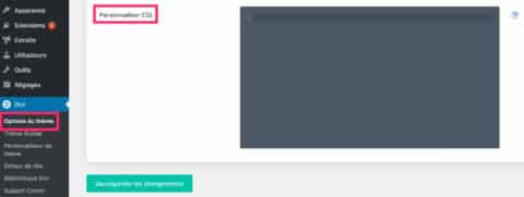 Code personnalisé dans Divi : où ajouter du CSS, JavaScript, PHP