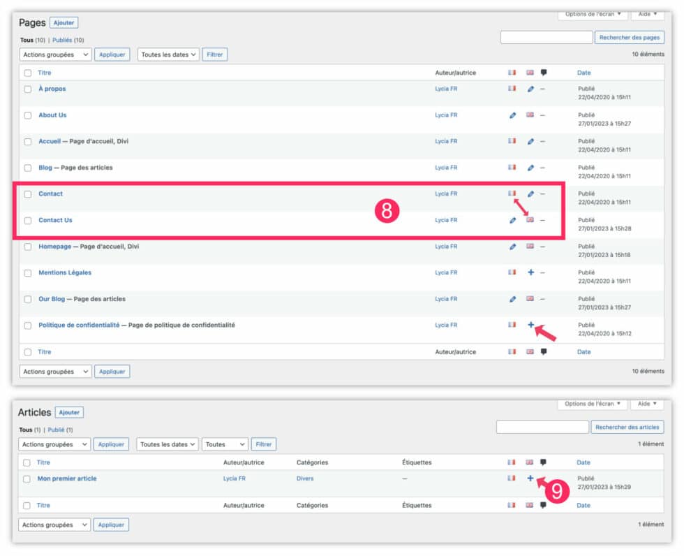 Polylang and Divi: how to translate all parts of your site?